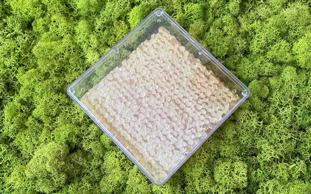 Bulgarian Organic Honeycomb The Clean Air Advantage Pastili